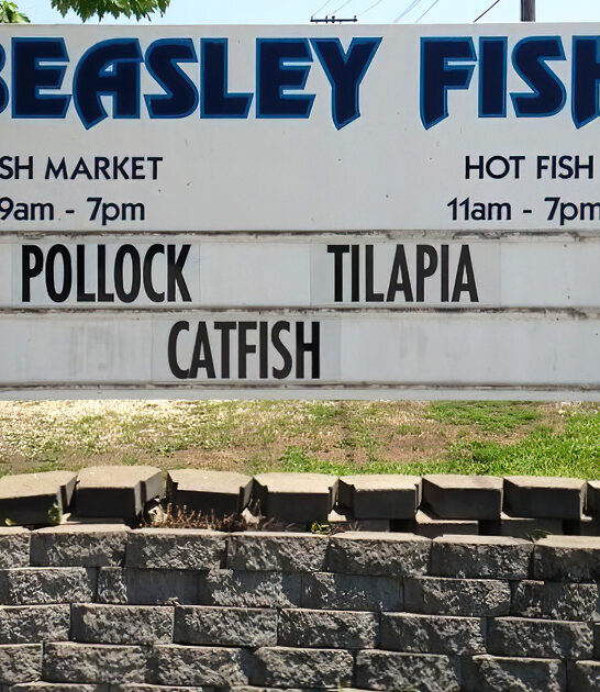 best fried fish illinois ftr