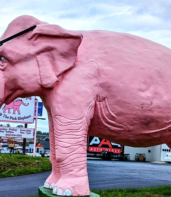 bizarre roadside attractions tennessee ftr