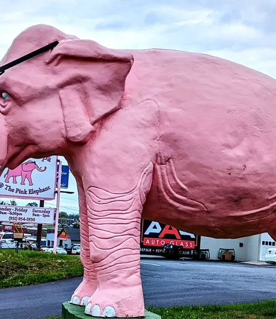 bizarre roadside attractions tennessee ftr