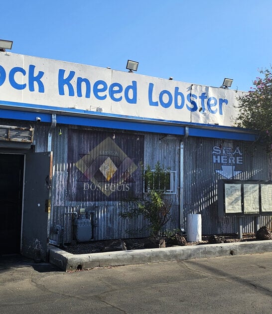 bold flavor arizona seafood ftr