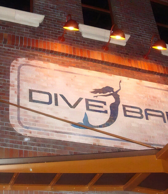 california mermaids whimsical bar ftr