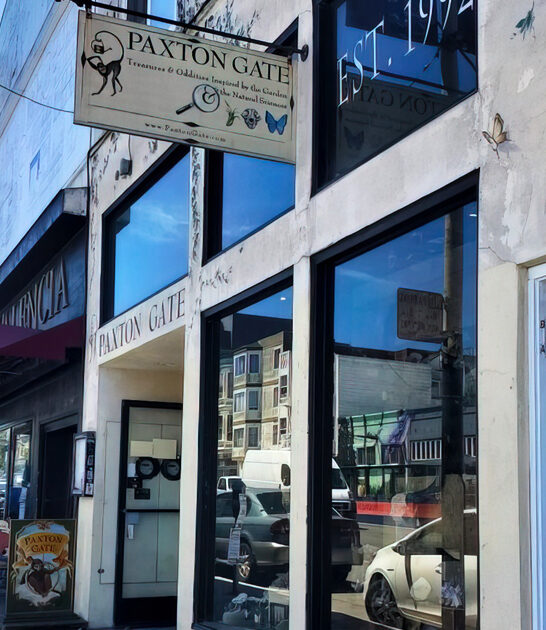 california quirky collectibles store ftr