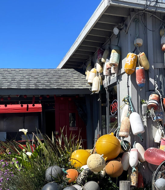 clam chowder cafe california ftr