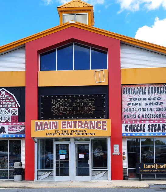 delaware people hunt bargains ftr