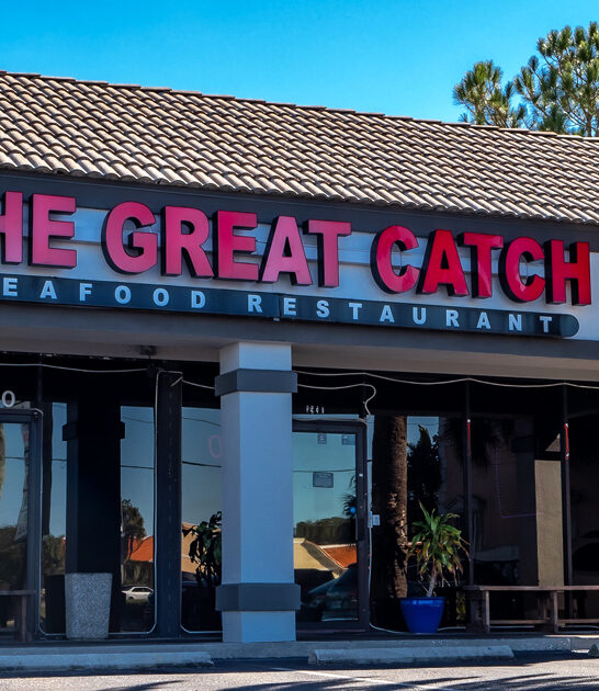 delectable fried clams florida ftr