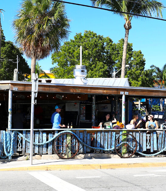 delicious florida grouper sandwich ftr