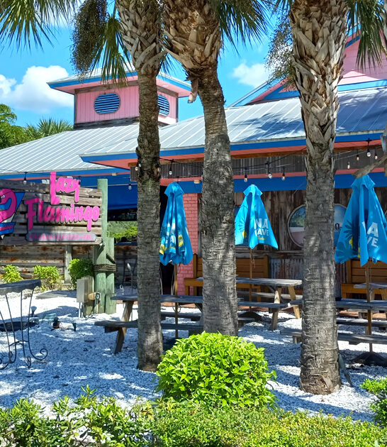delicious grilled grouper florida ftr