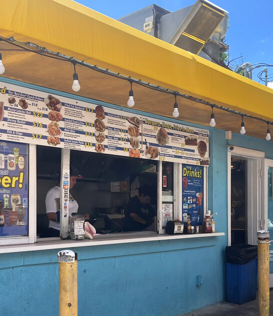 delicious hot dogs florida ftr