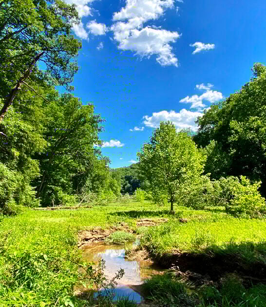dreamy scenic park ohio ftr
