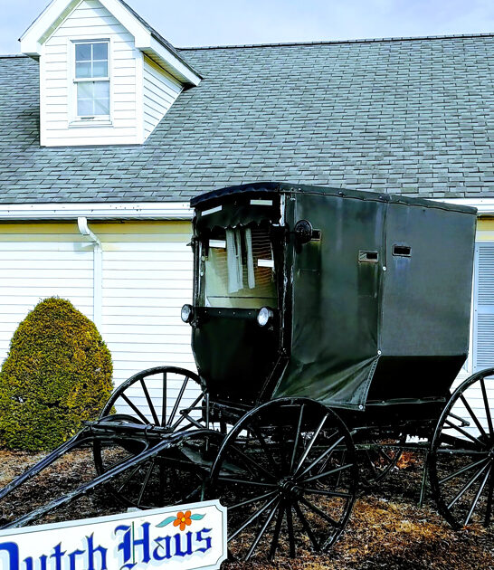 drive ohio dutch buffet ftr