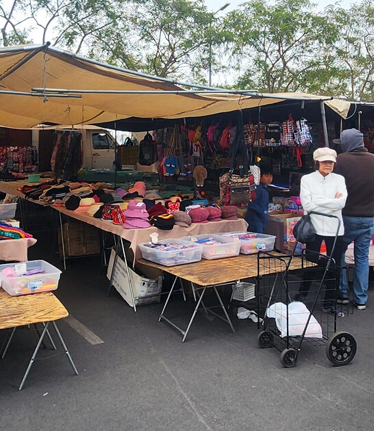 enormous california flea hunting ftr