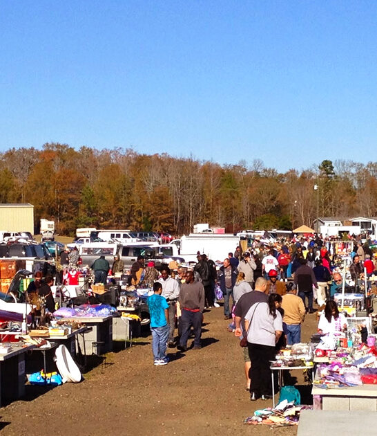 enormous south carolina market ftr