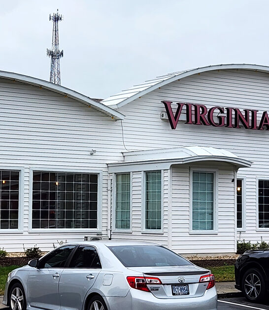 famous fried chicken virginia ftr