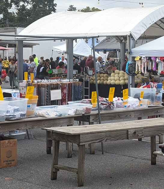 flea market pennsylvania enormous ftr