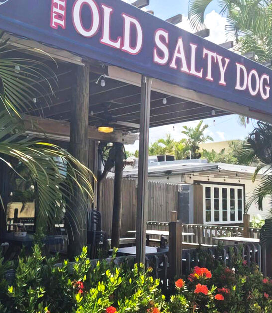 florida delectable fish chips ftr
