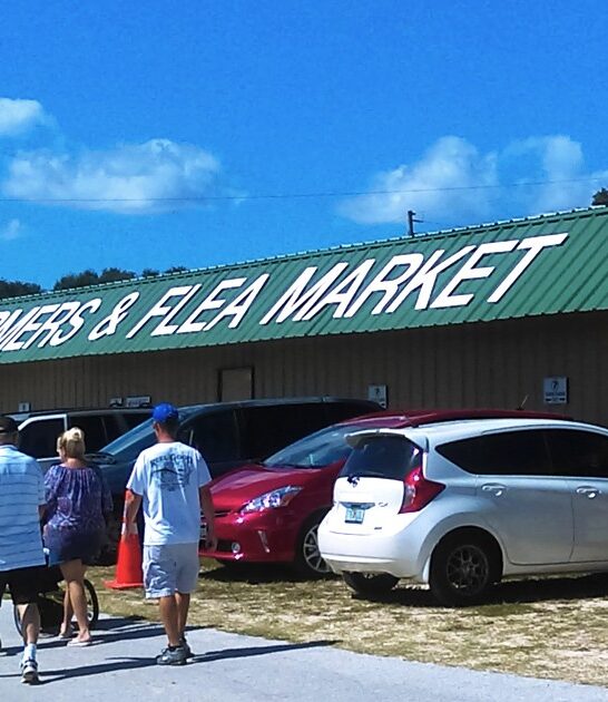 florida gigantic vintage store ftr