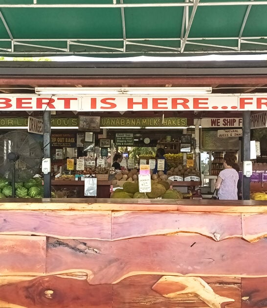 florida shake stand treats ftr