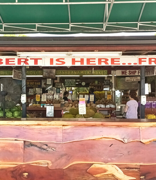 florida smoothie fruit stand ftr
