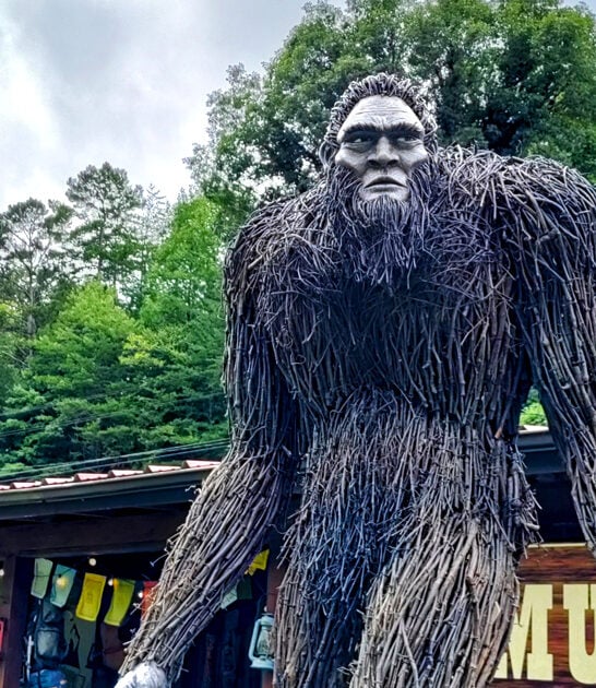 georgia bigfoot museum discoveries ftr