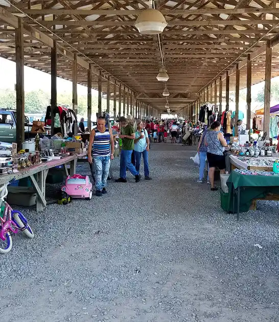 georgia huge flea market ftr