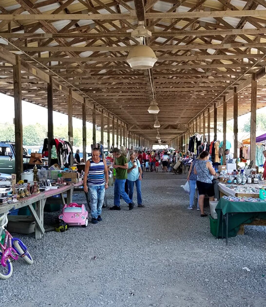 georgia rare treasures deals ftr