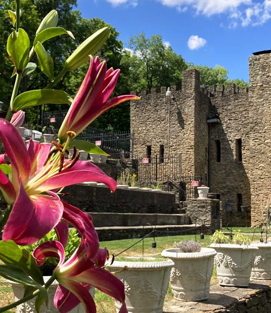 gorgeous castles ohio dream ftr