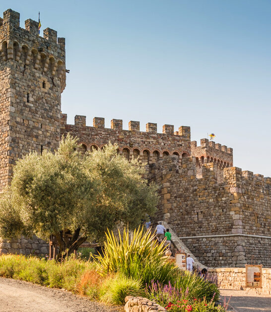 gorgeous medieval castle california ftr