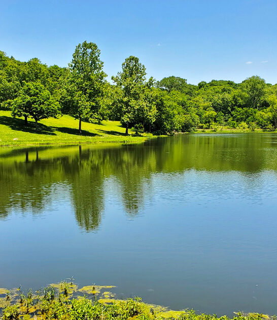 gorgeous missouri state park ftr