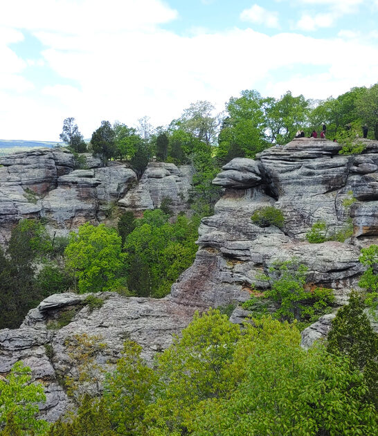 gorgeous national forest illinois ftr