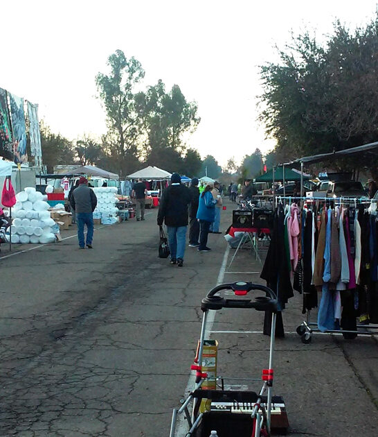 huge california treasures market ftr