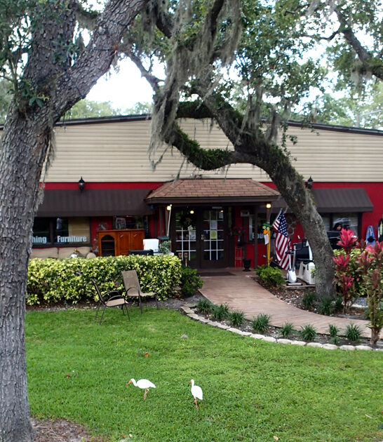 huge thrift florida treasures ftr