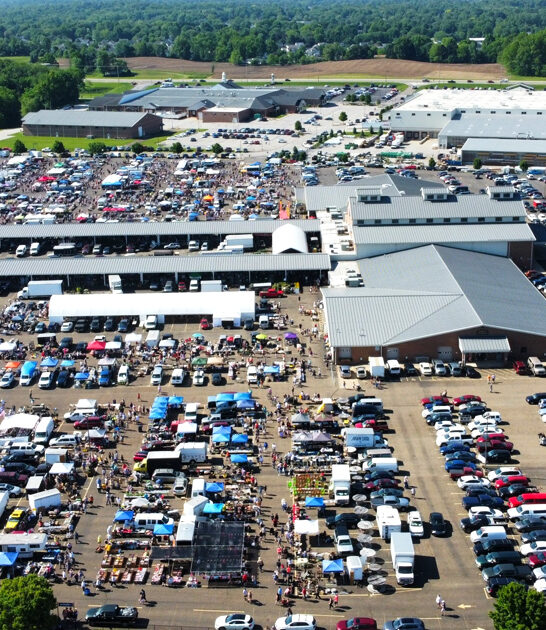 indoor flea place ohio ftr