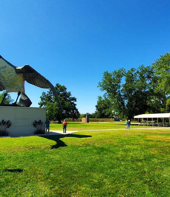 odd roadside attraction missouri ftr