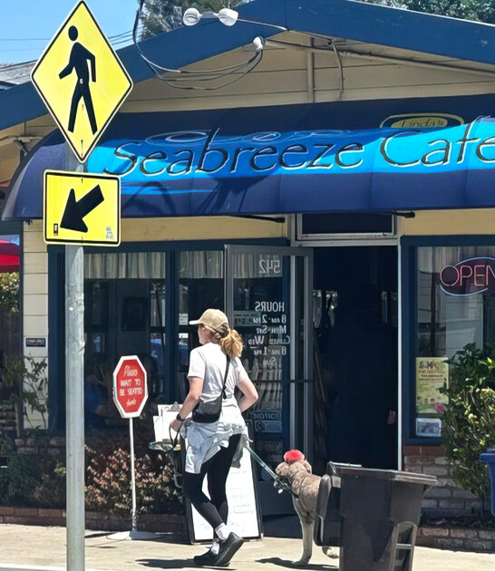 omelets diner california daily ftr