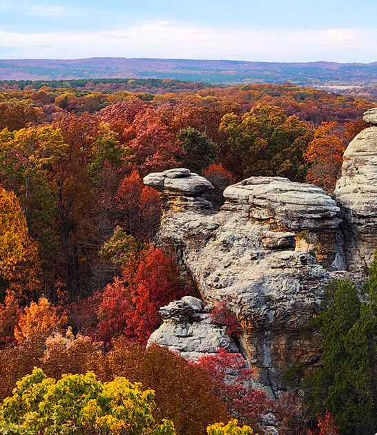 picturesque national forest illinois ftr