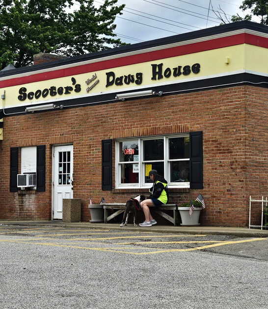 restaurant ice cream ohio ftr