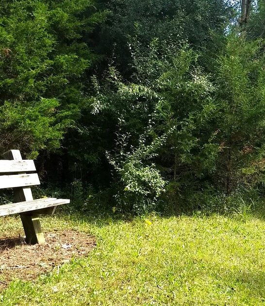 secret ohio park gem ftr