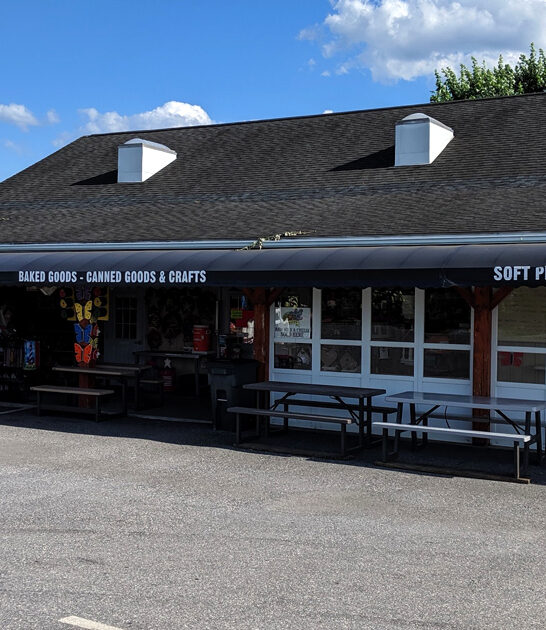 soft pretzels pennsylvania amish ftr