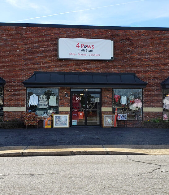 south carolina bargain shopping ftr