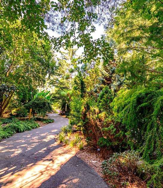 south carolina explore garden ftr