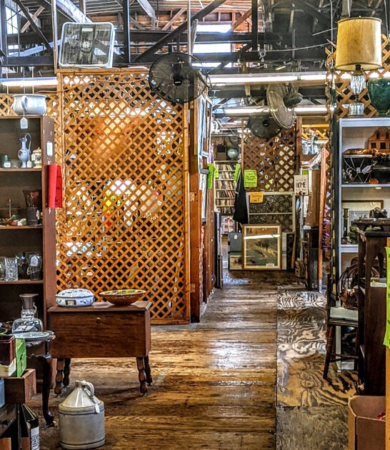 south carolina thrift finds ftr