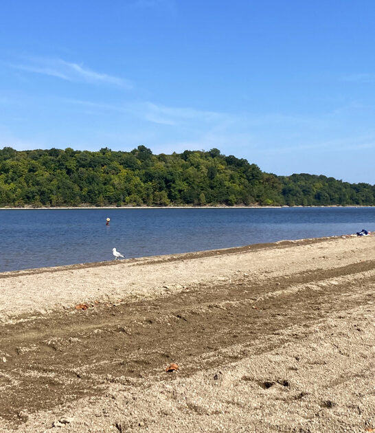 stunning beach park ohio ftr