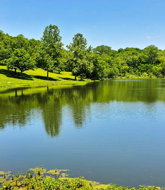 stunning state missouri park ftr