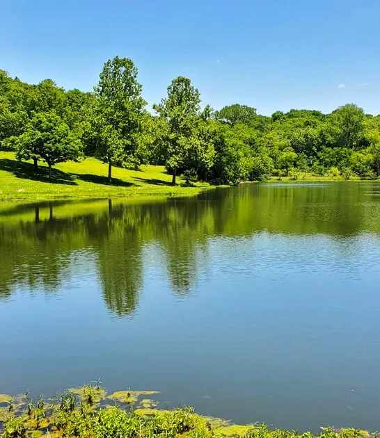 stunning state missouri park ftr