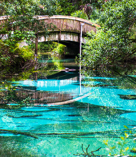 unforgettable natural spring florida ftr