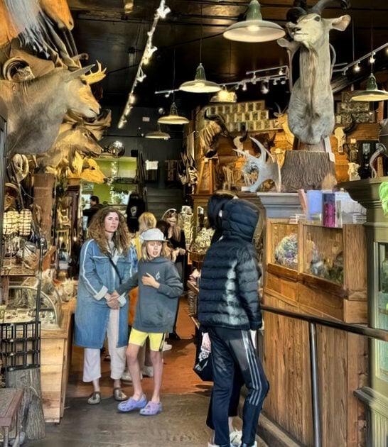 wacky oddity store california ftr