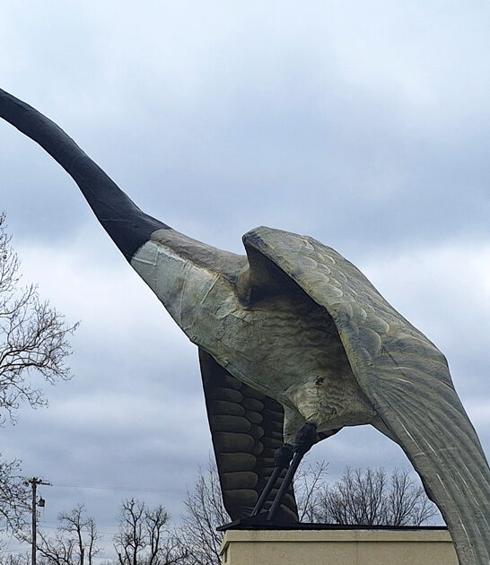 weird roadside attraction missouri ftr