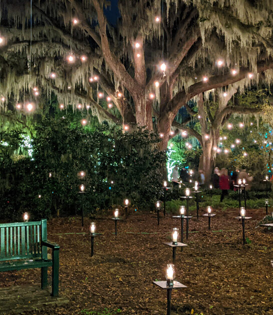 whimsical garden south carolina ftr