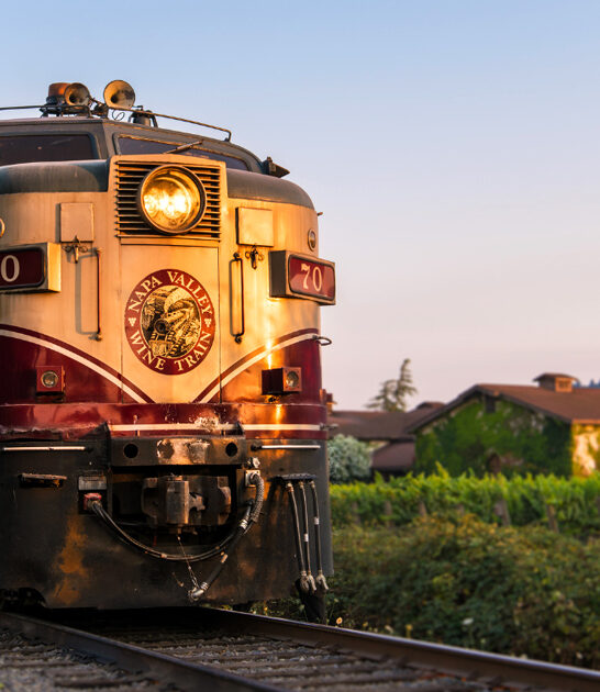 wine lover california ride ftr