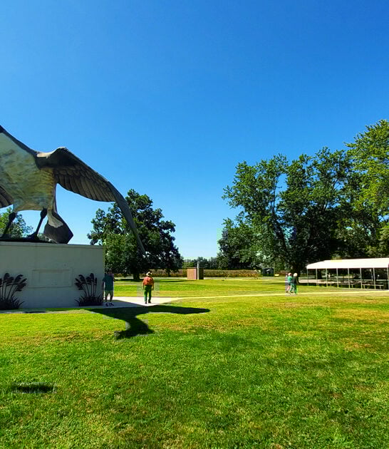 wonderfully odd attraction missouri ftr